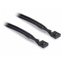 Delock - USB-Kabel - 10-poliger USB-Header (W)