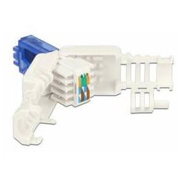 DeLOCK - Netzwerkanschluss - RJ-45 (M) - UTP - CAT 6a - (Anzahl pro Packung: 2)