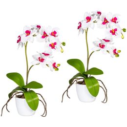 Kunstpflanze Creativ green "Orchidee Phalaenopsis", rosa, H:60cm, Kunststoff, Polyester, Kunstpflanzen, Kunstpflanze, im Keramiktopf