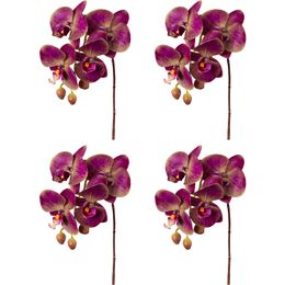 Kunstorchidee Creativ green "Orchidee Phalaenopsis", lila, H:44cm, Kunstpflanzen, mit real-touch-Bl&uuml;ten