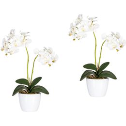 Kunstpflanze Creativ green "Phalaenopsis", wei&szlig;, B:11cm H:50cm T:11cm &Oslash;:11cm, Kunststoff, Polyester, Kunstpflanzen, Kunstpflanze