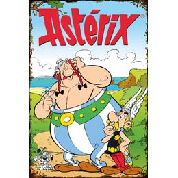 Metallbild LUCKYLINDE "Asterix, Obelix und Idefix II", bunt (farbe bild(er): bunt), B:20cm H:30cm T:0,2cm, Stahl, Bilder, Stahlschild 20x30 cm Wanddeko Bild zum Film "Kampf der H&auml;uptlinge"