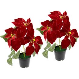 Kunstpflanze I.GE.A. "Samt-Poinsettie", rot, B:25cm H:32cm L:18cm, Obermaterial: 90% Polyester, 10% Kunststoff, Kunstpflanzen, Kunstpflanze, im Topf, 2er Set
