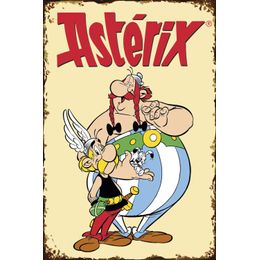Metallbild LUCKYLINDE "Asterix und Obelix", bunt (farbe bild(er): bunt), B:20cm H:30cm T:0,2cm, Stahl, Bilder, Stahlschild 20x30 cm Wanddeko Bild zum Film "Kampf der H&auml;uptlinge"