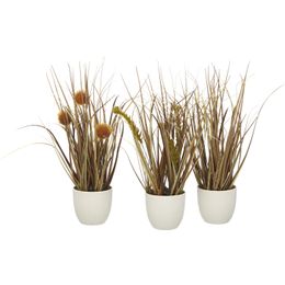 Kunstgras Creativ green "Grasbusch D&uuml;ne", beige, H:26cm &Oslash;:13cm, Kunststoff, Kunstpflanzen, als Set aus drei Ausf&uuml;hrungen