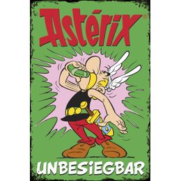 Metallbild LUCKYLINDE "Asterix Unbesiegbar", bunt (farbe bild(er): bunt), B:20cm H:30cm T:0,2cm, Stahl, Bilder, Stahlschild 20x30 cm Wanddeko Bild zum Film "Kampf der H&auml;uptlinge"