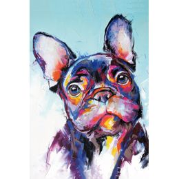 Leinwandbild B&Ouml;NNINGHOFF "Hund", bunt (farbe rahmen: kein rahmen, farbe bild(er): blau, schwarz, wei&szlig;, rot), B:60cm H:90cm T:1,8cm, Canvas, Bilder, Leinwandbild, BxH: 60x90 cm