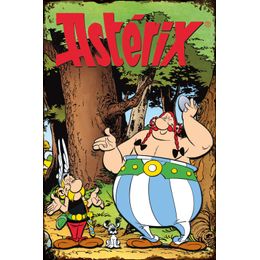 Metallbild LUCKYLINDE "Asterix, Obelix und Idefix III", bunt (farbe bild(er): bunt), B:20cm H:30cm T:0,2cm, Stahl, Bilder, Stahlschild 20x30 cm Wanddeko Bild zum Film "Kampf der H&auml;uptlinge"
