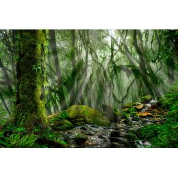 Fototapete papermoon "TROPISCHER WALD-BAUM DSCHUNGEL SONNE WEG PALMEN BACH", bunt, B:3,5m L:2,6m, Vlies, Tapeten