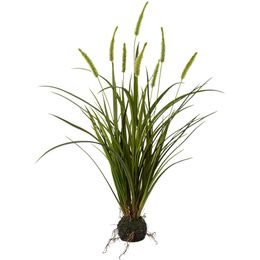 Kunstgras Creativ green "Miscanthus im Erdballen", gr&uuml;n, H:75cm, Obermaterial: 100% Polyethylen, Kunstpflanzen