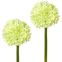 Kunstblume Creativ green, gr&uuml;n, H:65cm, Kunststoff, Kunstpflanzen, 2er Set