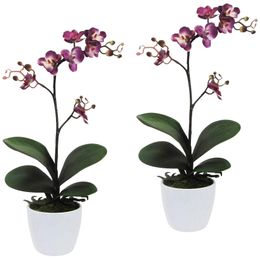 Kunstpflanze Creativ green "Orchidee Phalaenopsis", lila, H:55cm, Kunststoff, Polyester, Kunstpflanzen, Kunstpflanze, im Keramiktopf