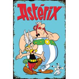 Metallbild LUCKYLINDE "Asterix, Obelix und Idefix", bunt (farbe bild(er): bunt), B:20cm H:30cm T:0,2cm, Stahl, Bilder, Stahlschild 20x30 cm Wanddeko Bild zum Film "Kampf der H&auml;uptlinge"