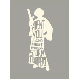Bild Komar "Star Wars Silhouette Quotes Leia", bunt (farbe bild(er): bunt), B:30cm H:40cm, Holz, Papier, Bilder, Bild, Wandbild zur Dekoration im Kinderzimmer - ohne Rahmen