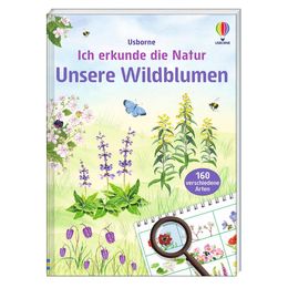 Ich erkunde die Natur: Unsere Wildblumen