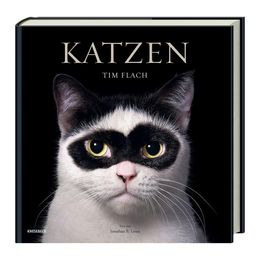Katzen
