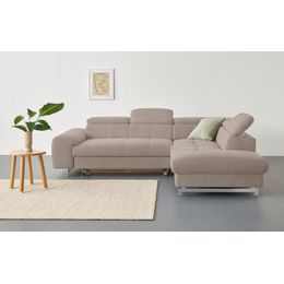 Ecksofa COTTA "Chef L-Form", mud, B:257cm H:72cm T:206cm, Luxus-Microfaser (100% Polyester);Kunstleder Softlux;Leder Advantage (abgedecktes Spalt-Rindsleder), R&uuml;ckseite mit schwarzem Spannstoff bezogen;NaturLEDER (echtes Rindsleder), R&uuml;ckseite mit schwarzem Spannstoff bezogen, Sofas, Ecksofa, mit Kopfteilverstellung, edle Metallkufen, wahlweise mit Bettfunktion