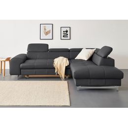 Ecksofa COTTA "Chef L-Form", schwarz, B:257cm H:72cm T:206cm, Luxus-Microfaser (100% Polyester);Kunstleder Softlux;Leder Advantage (abgedecktes Spalt-Rindsleder), R&uuml;ckseite mit schwarzem Spannstoff bezogen;NaturLEDER (echtes Rindsleder), R&uuml;ckseite mit schwarzem Spannstoff bezogen, Sofas, Ecksofa, mit Kopfteilverstellung, edle Metallkufen, wahlweise mit Bettfunktion