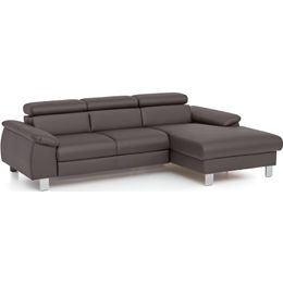 Ecksofa COTTA "Komaris L-Form, B: 244 cm", elefant, B:244cm H:72cm T:166cm, Microfaser PRIMABELLE (100% Polyester);Kunstleder SOFTLUX(100%Polyurethan);Feinstruktur (100% Polyester);Kunstleder SOFTLUX/Struktur (100%Polyurethan, 90%Polyester, 10% Polyacryl), Sofas, Ecksofa, mit Kopfteilverstellung, optional Bettfunktion, Bettkasten & Licht