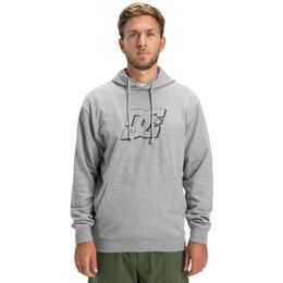 Kapuzensweatshirt DC Shoes "Hampden", Herren, Gr. L, grau (light erdgrau), Obermaterial: 80% Baumwolle, 20% Polyester., Sweatshirts