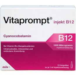 Vitaprompt injekt B12 1000 &mu;g Injektionsl&ouml;sung 10X1 ml