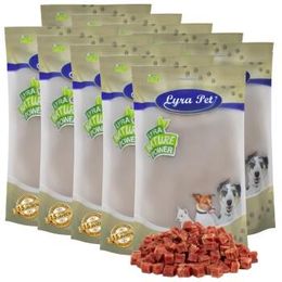 LYRA PET Entenfleischw&uuml;rfel mit Fisch 10 kg