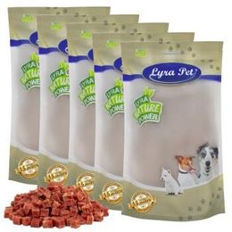 LYRA PET Entenfleischw&uuml;rfel mit Fisch 5 kg