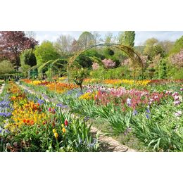 Fototapete papermoon "Monets Garten", bunt, B:2,5m L:1,86m, Vlies, Tapeten