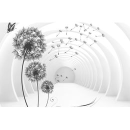 Fototapete papermoon "Pusteblumen", bunt, B:2,5m L:1,86m, Vlies, Tapeten