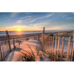 Fototapete papermoon "Outer Banks Dunes", bunt, B:2,5m L:1,86m, Vlies, Tapeten