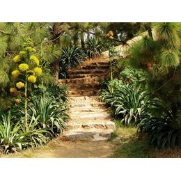 Fototapete papermoon "Hill Garden", bunt, B:2,5m L:1,9m, Vlies, Tapeten