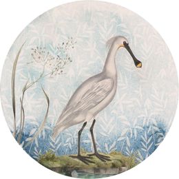 Fototapete Komar "Vlies selbstklebend - Spoonbill - Gr&ouml;&szlig;e 125 x 125 cm", bunt, B:125m L:125m, Vlies, Tapeten, Wohnzimmer, Schlafzimmer