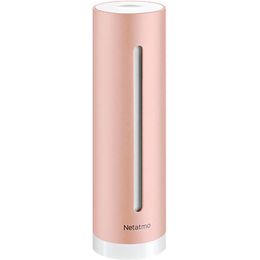 Netatmo Sensor "Smarter Raumluftsensor", rosa (ros&eacute;gold), B:4,5cm H:15,5cm L:4,5cm, Sensoren