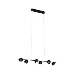 Paulmann LED Pendelleuchte "Puric Pane 6x4,5W Anthrazit/Schwarz 230V Metall/Kunststoff", schwarz, 6, H: 150cm, 1 Stk., Leuchten, 3-step-dimmbar, LED Pendelleuchte