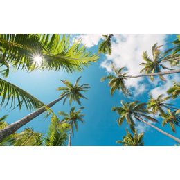 Vliestapete Komar "Digitaldruck Vlies - Coconut Heaven II - Gr&ouml;&szlig;e 450 x 280 cm", bunt, B:450m L:280m, Vlies, Tapeten, Wohnzimmer, Schlafzimmer