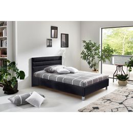 Polsterbett, schwarz, B:150cm L:210cm, Bezug: Microvelours (100% Polyester);Bonnell-Federkern-Matratzenbezug: 100% Polyester;Kaltschaum-Matratzenbezug: Frottee 100% Polyester, Bezug abnehm- und waschbar bis 60C, Westfalia Schlafkomfort, Betten, Polsterbett