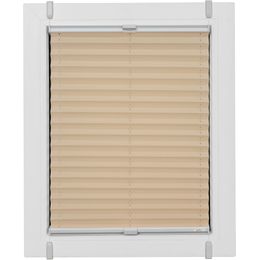 Plissee SUNLINES "One Size Style Crepe", beige (sand, grau, grau), B:120cm H:210cm, Obermaterial: 85% Polyester, 15% sonstige Fasern, Plissees, Zubeh&ouml;rfarbe grau, zum Klemmen