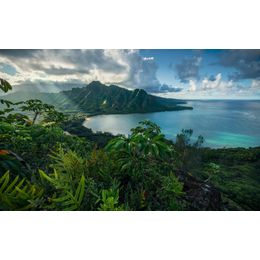 Vliestapete Komar "Digitaldruck Vlies - Jurassic Island - Gr&ouml;&szlig;e 450 x 280 cm", bunt, B:450m L:280m, Vlies, Tapeten, Wohnzimmer, Schlafzimmer