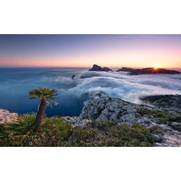 Vliestapete Komar "Digitaldruck Vlies - Island Paradise - Gr&ouml;&szlig;e 450 x 280 cm", bunt, B:450m L:280m, Vlies, Tapeten, Wohnzimmer, Schlafzimmer