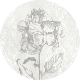 Vliestapete Komar "Vlies selbstklebend - Barock Beauty - Gr&ouml;&szlig;e 125 x 125 cm", schwarz (schwarz, wei&szlig;), B:125m L:125m, Vlies, Tapeten, Wohnzimmer, Schlafzimmer