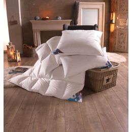 H&auml;ussling Federkopfkissen HAEUSSLING "Luxus Hygge", wei&szlig;, B:40cm L:80cm, Bezug: 100% Baumwolle. F&uuml;llung: 100% G&auml;nsefeder, Kopfkissen, Downpass, Nomite; STANDARD 100 by OEKO-TEX