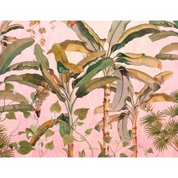 Vliestapete Komar "Digitaldruck Vlies - Plantation - Gr&ouml;&szlig;e 350 x 270 cm", bunt, B:350m L:270m, Vlies, Tapeten, Wohnzimmer, Schlafzimmer