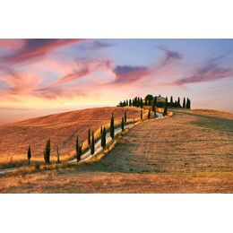 Fototapete papermoon "TOSKANA-NATUR LANDSCHAFT B&Auml;UME BERGE GEBIRGE WOLKEN XXL", bunt, B:2,5m L:1,86m, Vlies, Tapeten