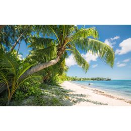 Vliestapete Komar "Digitaldruck Vlies - Fiji Dreams Boat - Gr&ouml;&szlig;e 450 x 280 cm", bunt, B:450m L:280m, Vlies, Tapeten, Wohnzimmer, Schlafzimmer
