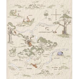 Vliestapete Komar "Digitaldruck Vlies - Winnie the Pooh Map - Gr&ouml;&szlig;e 200 x 240 cm", bunt (braun, grau, schwarz), B:200m L:240m, Vlies, Tapeten, Kinderzimmer