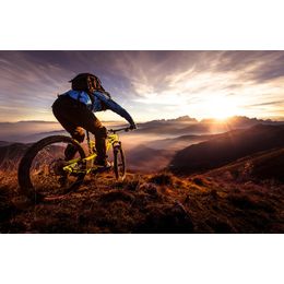 Fototapete papermoon "Photo-Art SANDI BERTONCELJ, SUNSET TRAIL RIDE", bunt, B:2,5m L:1,86m, Vlies, Tapeten