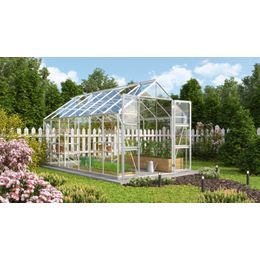 Gew&auml;chshaus Vitavia "Domus 11500", silber (silberfarben), B:257cm H:253,9cm T:449cm, Gew&auml;chsh&auml;user, mit Doppelschwingt&uuml;ren, bodentiefer T&uuml;rschwelle, 3 mm Sicherheitsglas