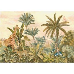 Vliestapete Komar "Digitaldruck Vlies - Tropical Vintage Garden - Gr&ouml;&szlig;e 400 x 280 cm", bunt, B:400m L:280m, Vlies, Tapeten, Kinderzimmer