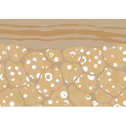 Vliestapete Komar "Digitaldruck Vlies - Subsoil - Gr&ouml;&szlig;e 400 x 280 cm", braun (braun, wei&szlig;), B:400m L:280m, Vlies, Tapeten, Wohnzimmer, Schlafzimmer