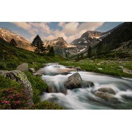 Fototapete papermoon "Photo-Art PAOLO BOLLA, MARITIME ALPEN PARK", bunt, B:2,5m L:1,86m, Vlies, Tapeten